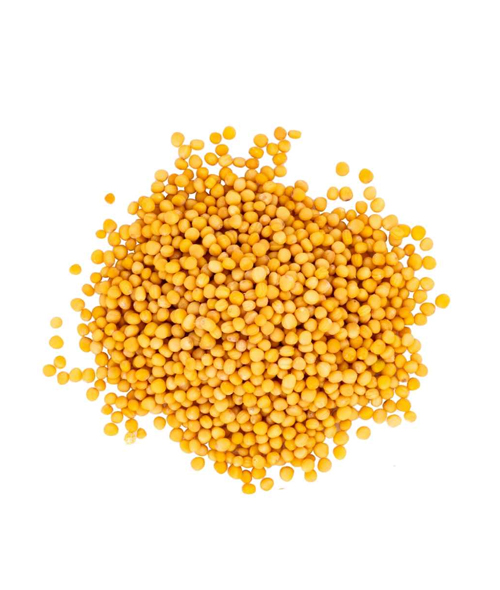 Yellow mustard – Nuts & Spices
